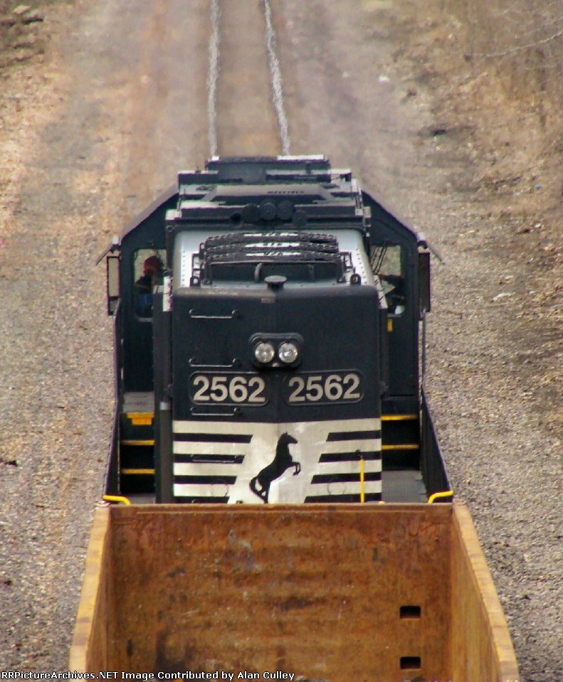 NS 2562